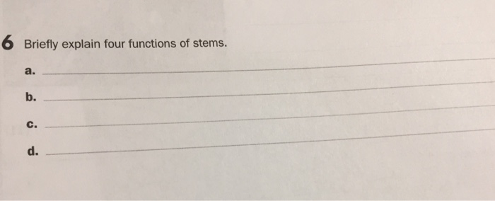 Solved Briefly explain four functions of stems. | Chegg.com