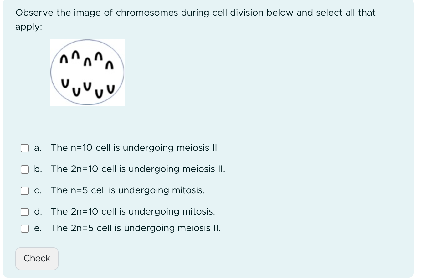 Solved Observe the image of chromosomes during cell division | Chegg.com