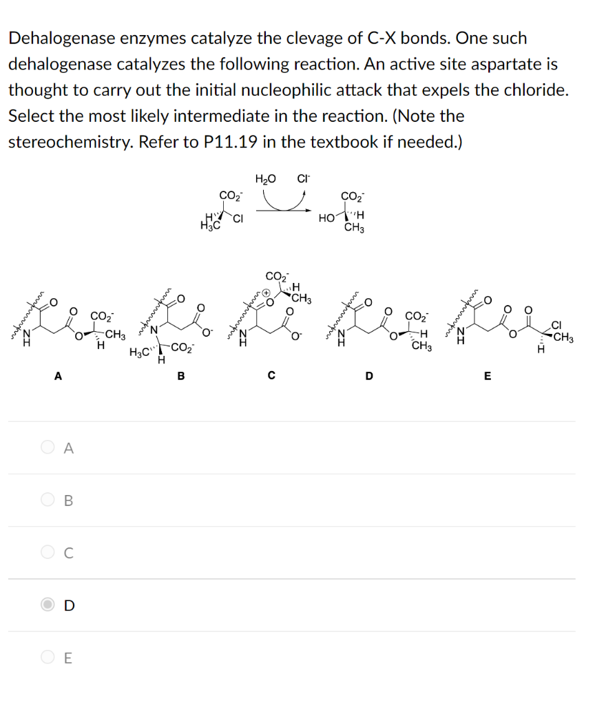 Solved Dehalogenase enzymes catalyze the clevage of C−X | Chegg.com