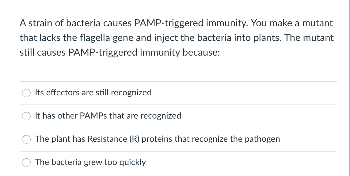 Solved A strain of bacteria causes PAMP-triggered immunity. | Chegg.com