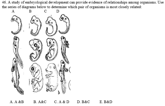 Solved 41. Identify the substance at letter A. Strawberry | Chegg.com