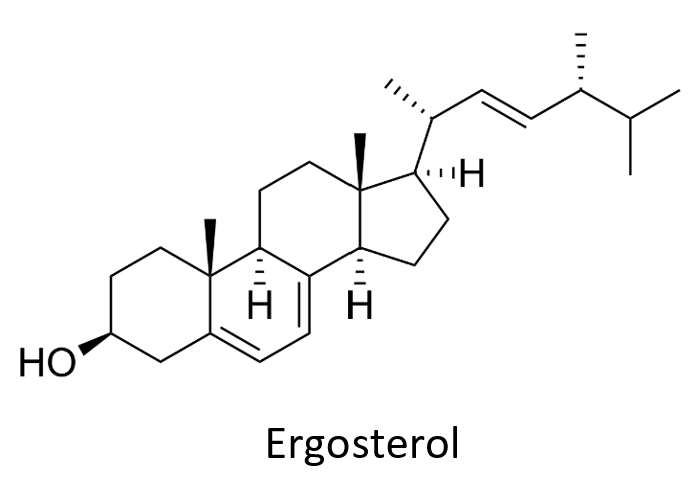 Solved What are the non-covalent interactions between | Chegg.com