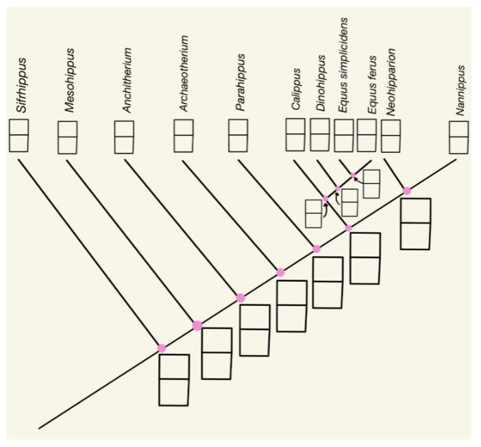 Read the following steps below and with the | Chegg.com