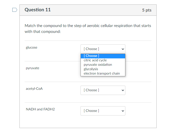 Solved Question 11 5 pts Match the compound to the step of | Chegg.com