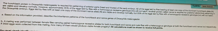 The hunchback protein in Drosophila melanogaster is | Chegg.com