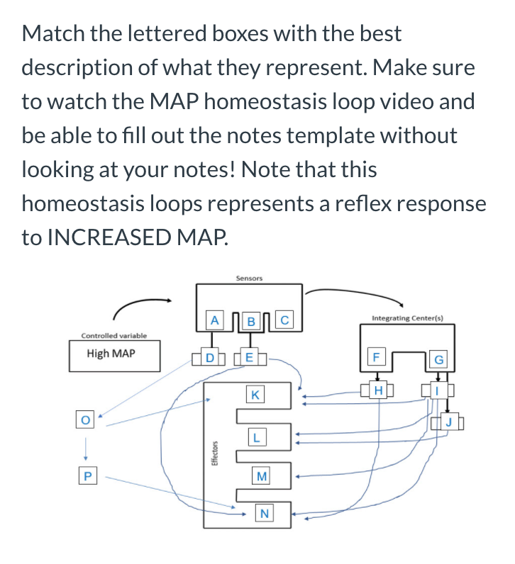 Solved Match the lettered boxes with the best description of | Chegg.com