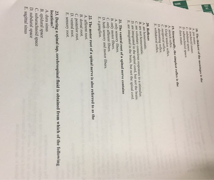 Solved The thickest of the meninges is the A. pia mater. B | Chegg.com