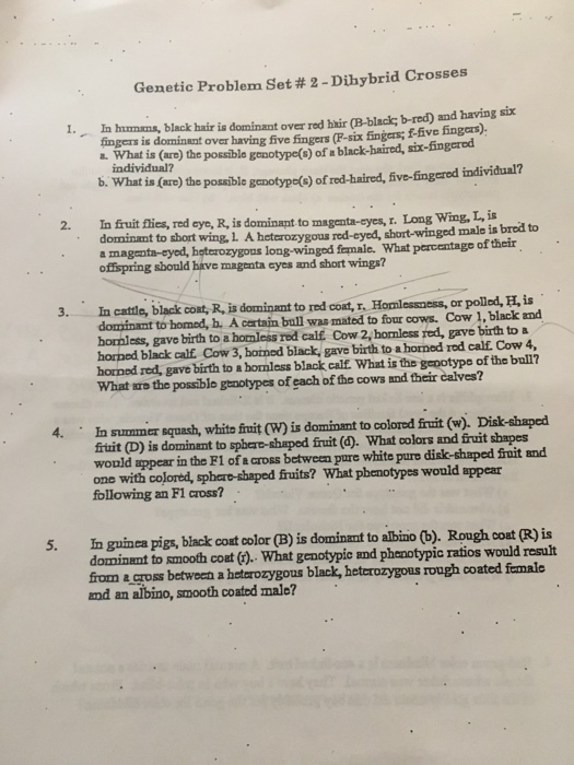 Solved Section Lab Instructor Date PRELAB EXERCISE | Chegg.com | Chegg.com