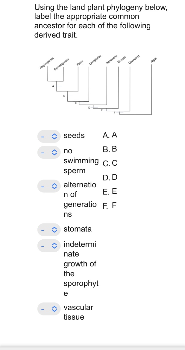 Solved Using the land plant phylogeny below, label the | Chegg.com