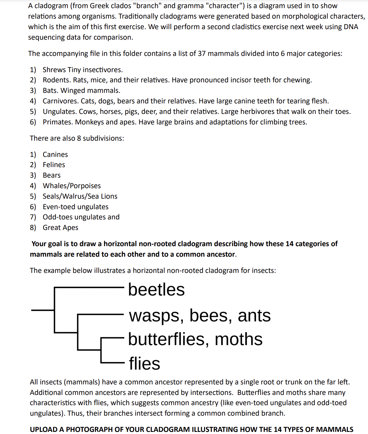 Solved A cladogram (from Greek clados "branch" and gramma | Chegg.com