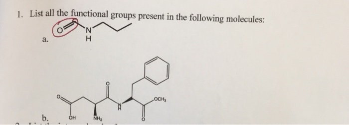 Solved 1. List all the functional groups present in the | Chegg.com