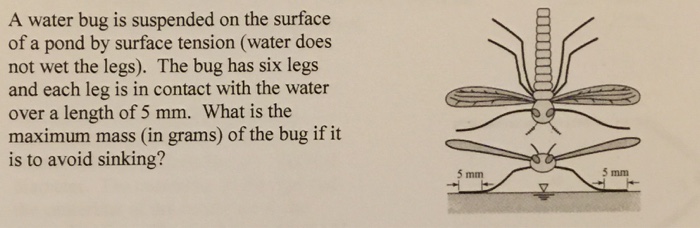 Solved A water bug is suspended on the surface of a pond by | Chegg.com