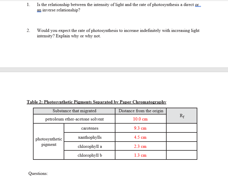 How Light Intensity Affects The Rate Of Photosynthesis The Effect Of How Light Intensity Affects The Rate Of Photosynthesis The Effect Of