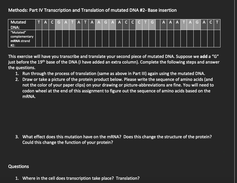 Solved Methods: Part IV Transcription and Translation of | Chegg.com