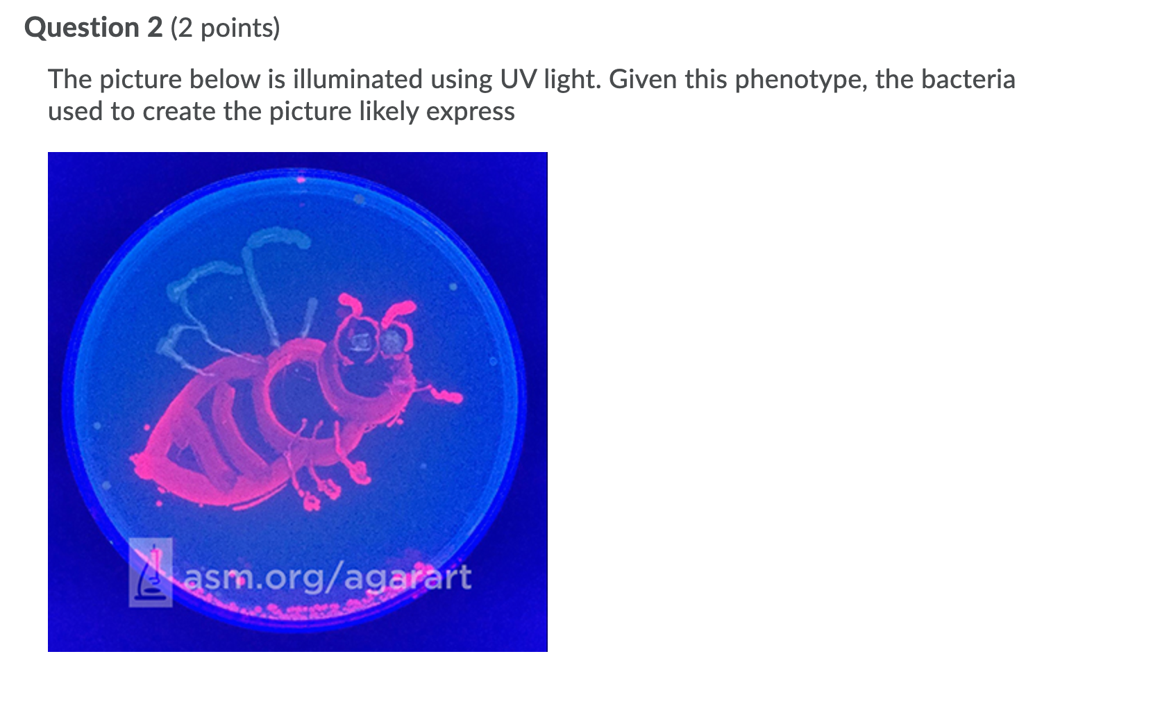 Solved Question 2 (2 points) The picture below is | Chegg.com