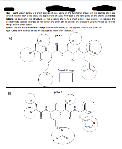 Solved Q9a- (12pt) Drawn below is a short peptide chains. | Chegg.com