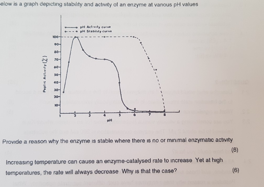 Solved elow is a graph depicting stability and activity of | Chegg.com