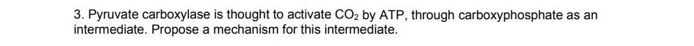 Solved 3. Pyruvate carboxylase is thought to activate CO2 by | Chegg.com