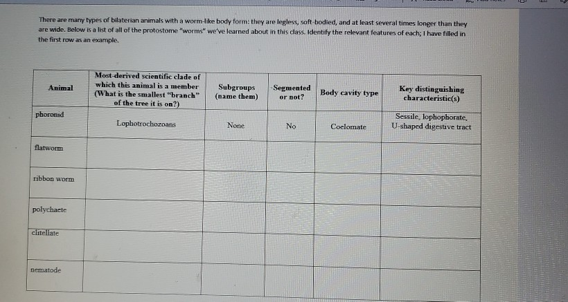 Solved There are many types of bilaterian animals with a | Chegg.com