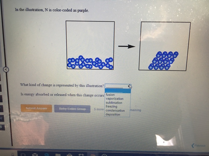 Solved In the illustration, N is color-coded as purple. What | Chegg.com