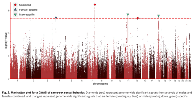 Solved In 2019 A Large Scale Gwas Took Place In The Uk Us