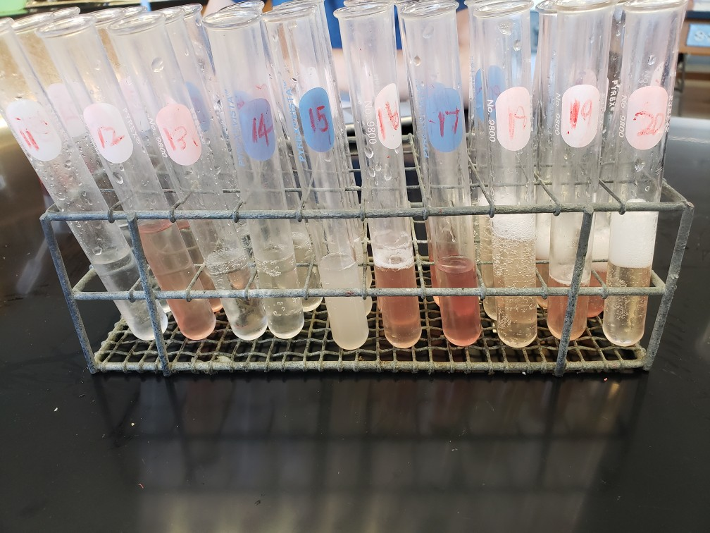 of the beaker Table 12.3 Catalase *рH Hydrogen | Chegg.com