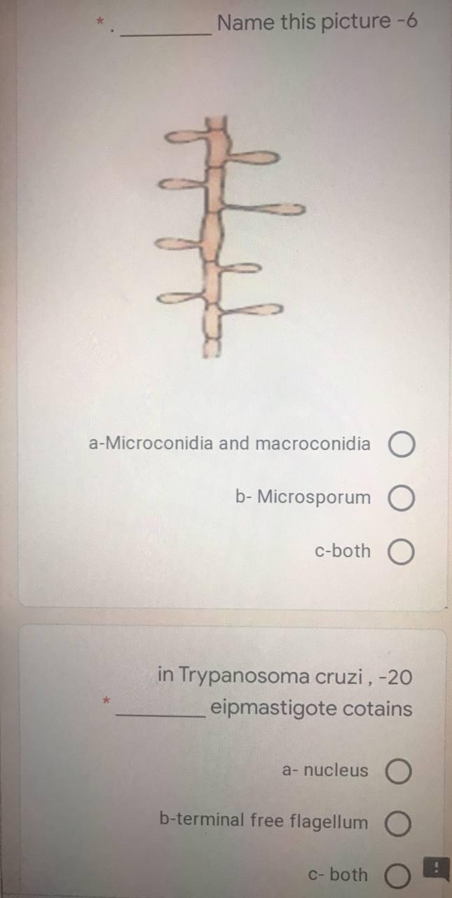 Macroconidia And Microconidia