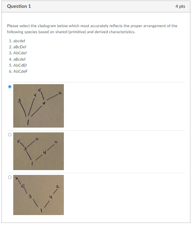 Please select the cladogram below which most | Chegg.com