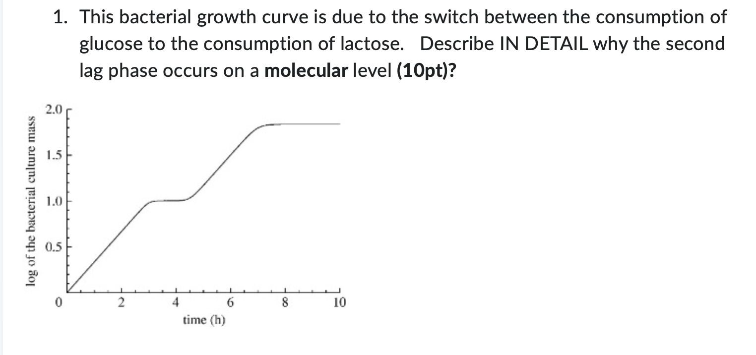 Solved This Bacterial Growth Curve Is Due To The Switch