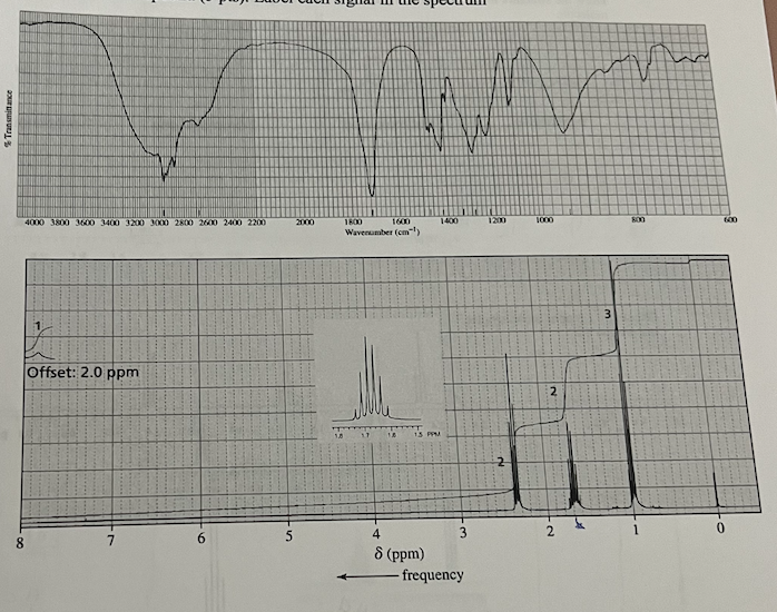Solved Identify each of the following compound C4H8O2 from | Chegg.com