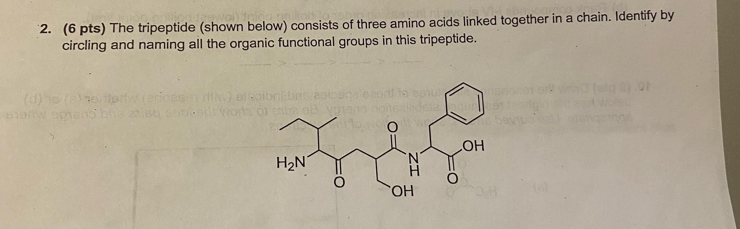 Solved 2. (6 pts) The tripeptide (shown below) consists of | Chegg.com