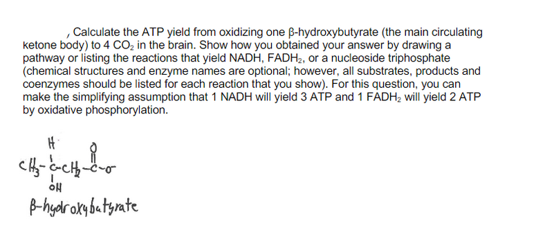 Solved , Calculate the ATP yield from oxidizing one | Chegg.com