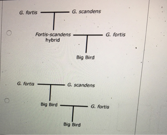 Solved Part C Origin of the Big Bird When 5110 first | Chegg.com