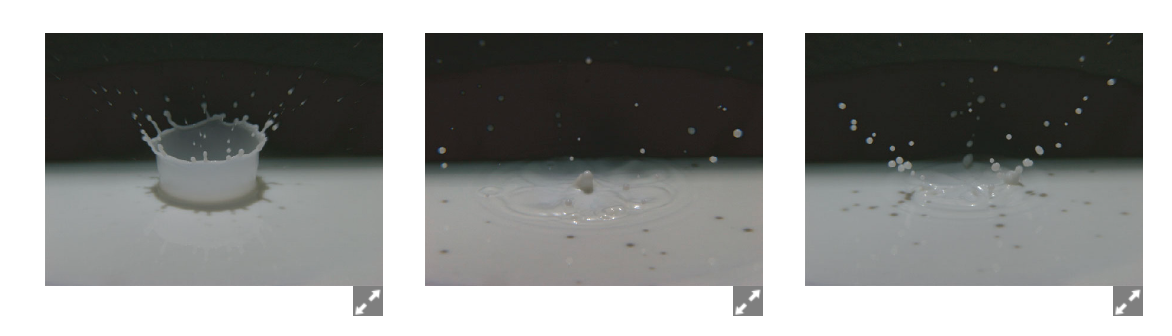 A visual analogy for the stages associated with the | Chegg.com