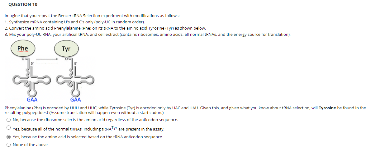 Solved QUESTION 10 Imagine that you repeat the Benzer tRNA | Chegg.com