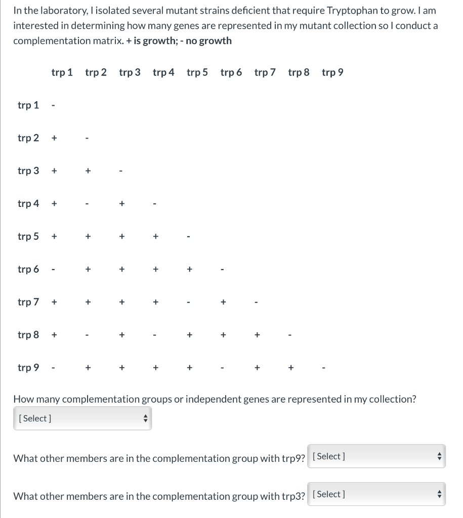 Solved In the laboratory, I isolated several mutant strains | Chegg.com