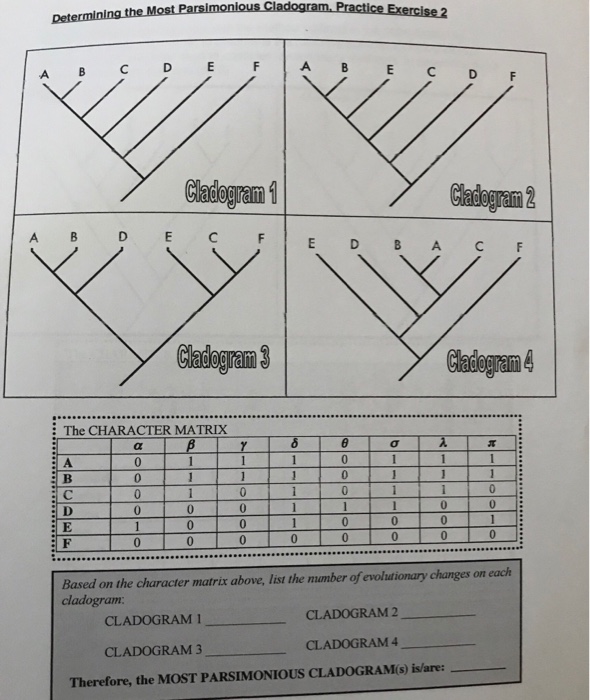 Solved Determining the most parsimonious cladograms, fill in | Chegg.com