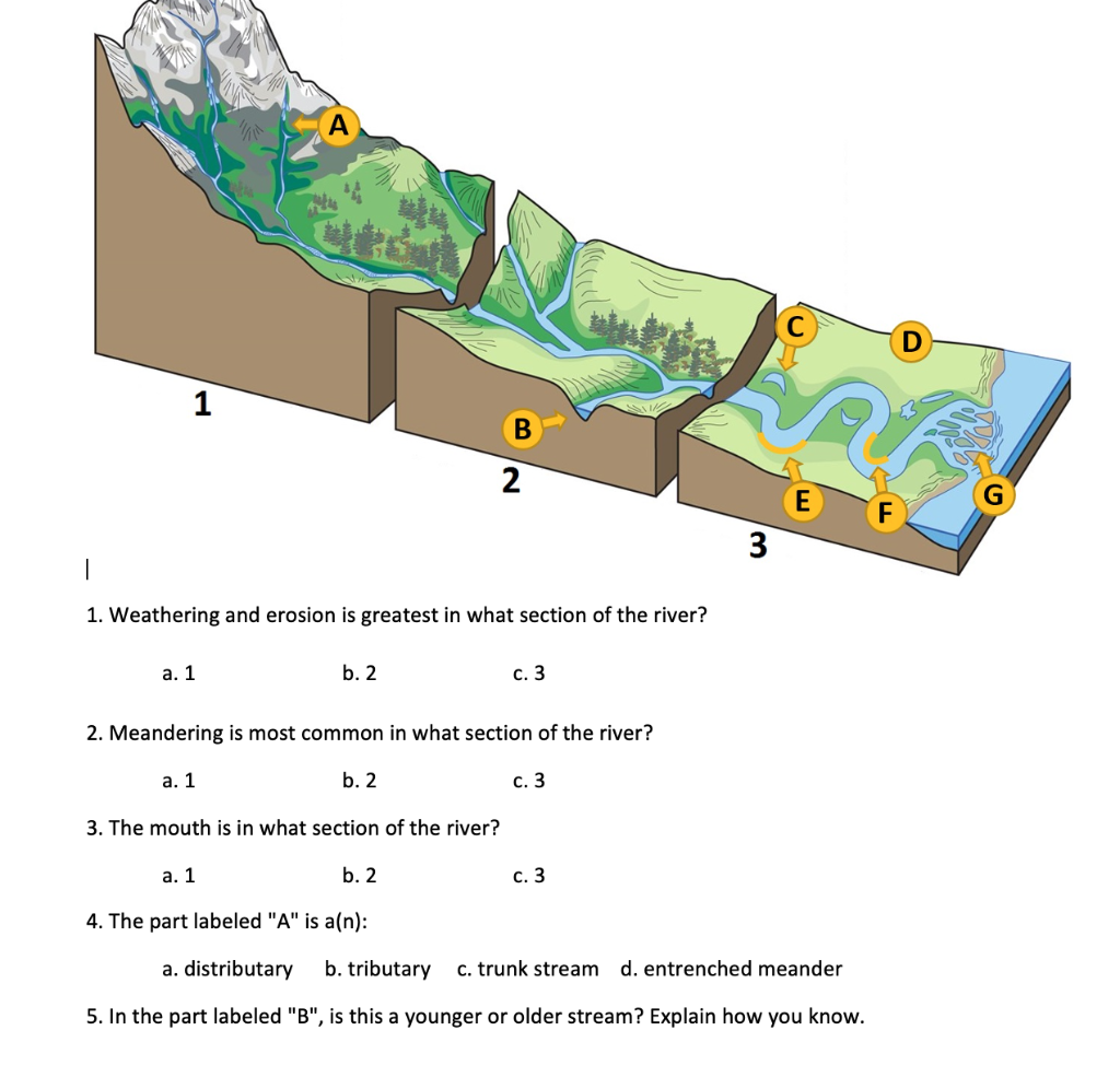 Solved A 1 B 2 E 3 1. Weathering and erosion is greatest in | Chegg.com