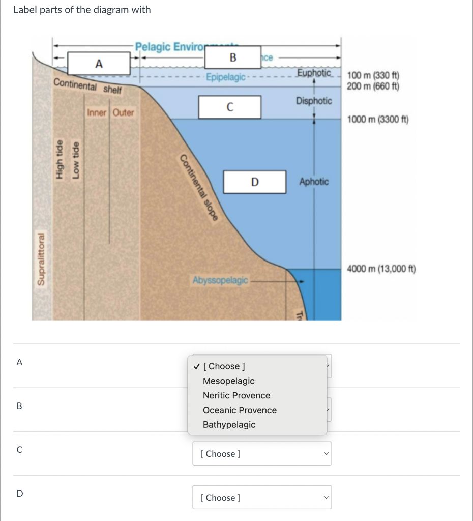 Label The Parts Of Your Diagram – HVEACN