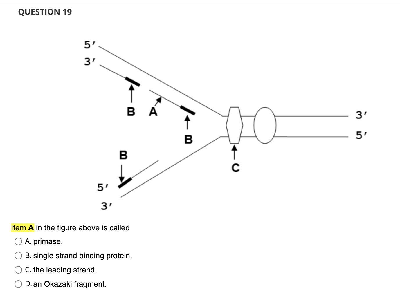 Solved QUESTION 19 Item A in the figure above is called A. | Chegg.com