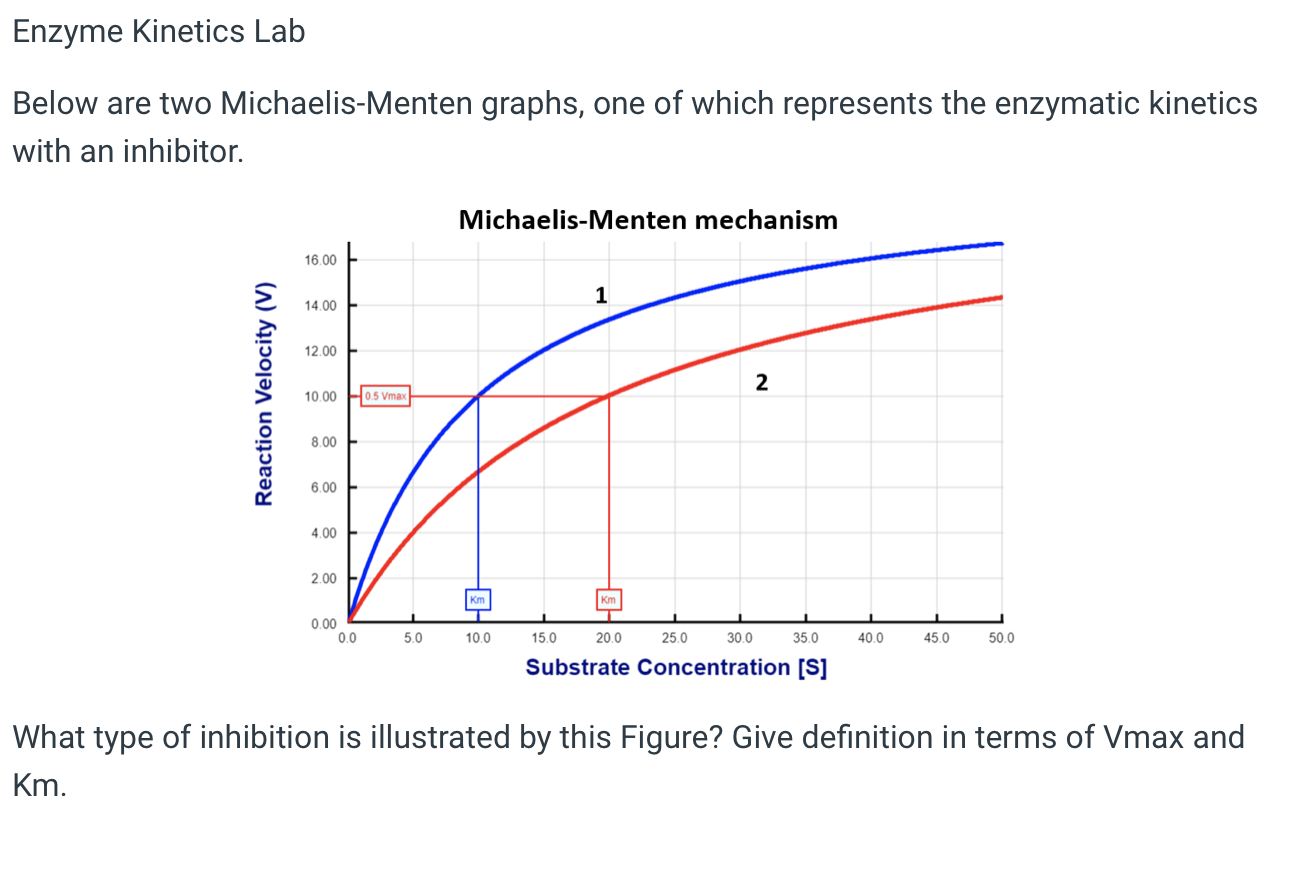 Solved Enzyme Kinetics Lab Below are two Michaelis-Menten | Chegg.com