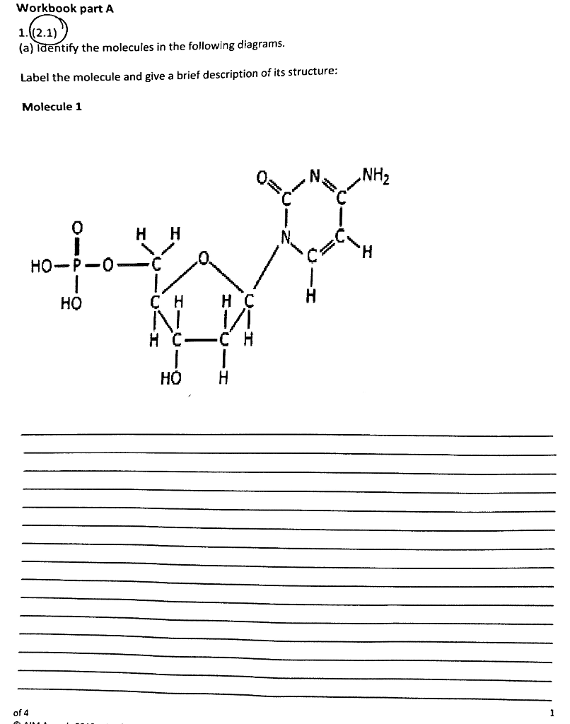 Solved Workbook part A (a) identify the molecules in the | Chegg.com