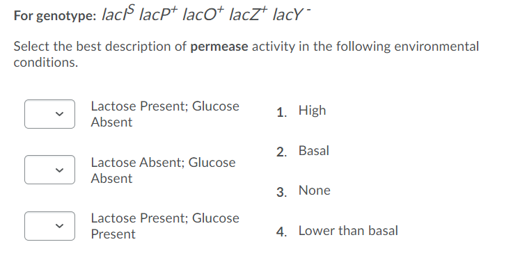 Solved Lac Operon For the following genotypes indicate | Chegg.com