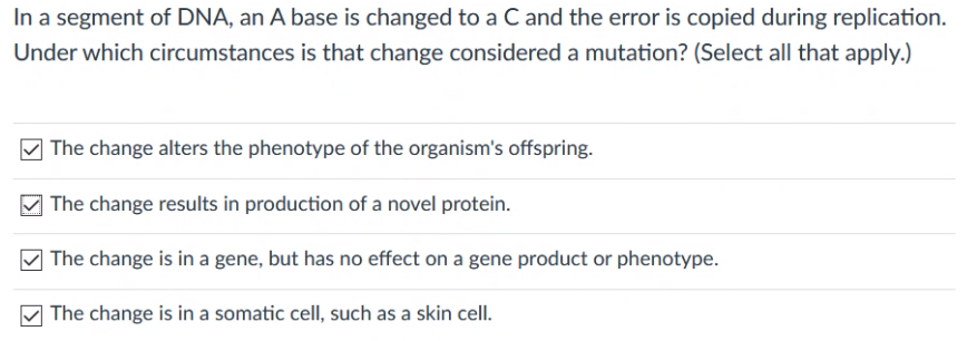 Solved In a segment of DNA, an A base is changed to a C and | Chegg.com