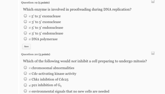 Solved Which enzyme is involved in proofreading during DNA | Chegg.com