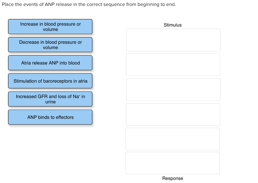 Solved Place the events of ANP release in the correct | Chegg.com