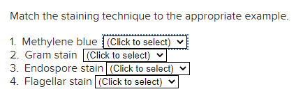 Solved Label the figure to demonstrate your understanding of | Chegg.com