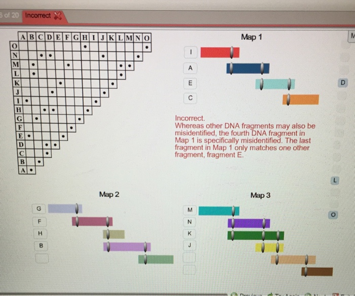 In the hum an genome project, the sequence of whole | Chegg.com
