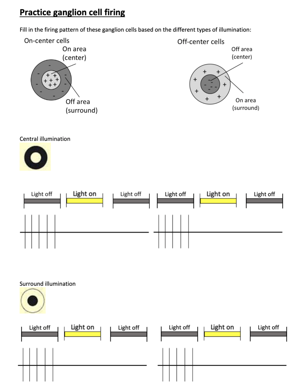 Solved Practice ganglion cell firing Fill in the firing | Chegg.com