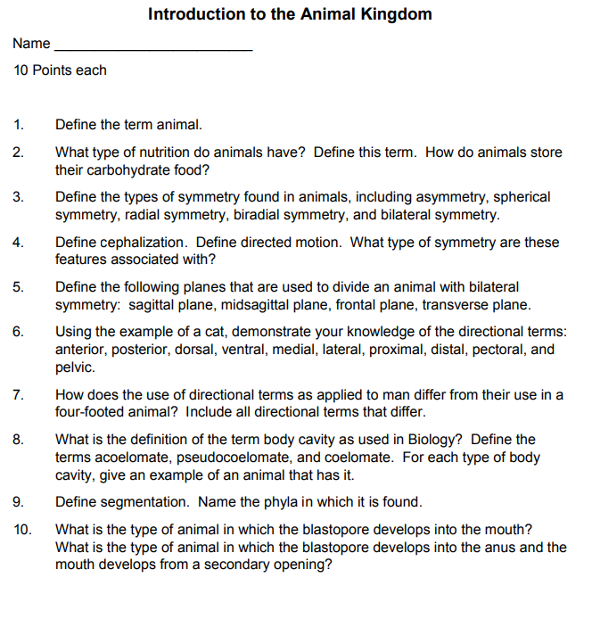 Solved 10 Points each 1. Define the term animal. 2. What | Chegg.com